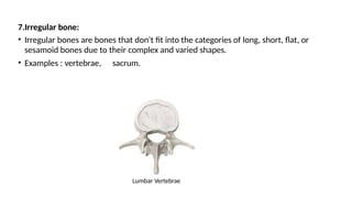 BONE ANATOMY , HISTOLOGY, FORMATION OF BONE | PPTX