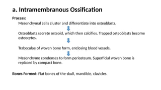 BONE ANATOMY , HISTOLOGY, FORMATION OF BONE | PPTX