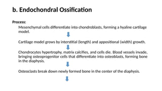 BONE ANATOMY , HISTOLOGY, FORMATION OF BONE | PPTX