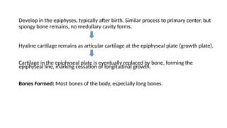BONE ANATOMY , HISTOLOGY, FORMATION OF BONE | PPTX