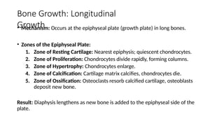 BONE ANATOMY , HISTOLOGY, FORMATION OF BONE | PPTX