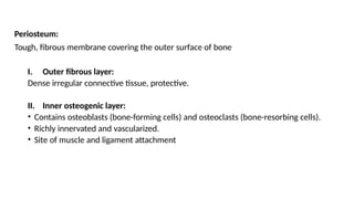 BONE ANATOMY , HISTOLOGY, FORMATION OF BONE | PPTX