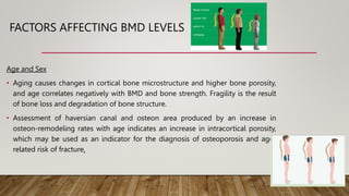 Bone and bone mineral density.pptx