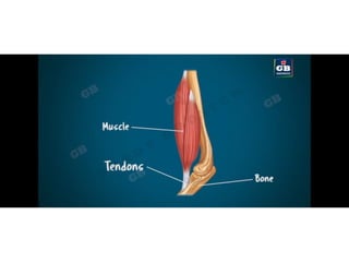 Bone and cartilage class 9th Tissue.pptx