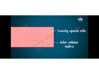 Bone and cartilage class 9th Tissue.pptx