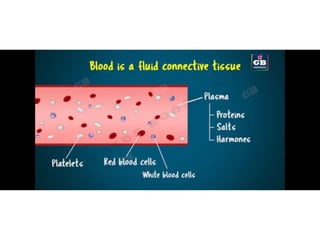 Bone and cartilage class 9th Tissue.pptx