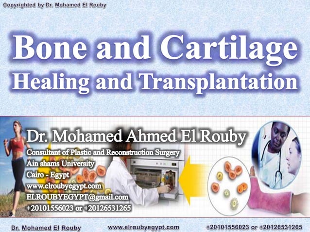 Bone and cartilage healing | PPT