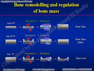 Bone and cartilage healing | PPT