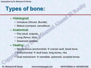 Bone and cartilage healing | PPTX