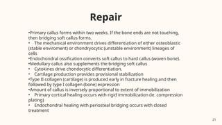 Bone and Fracture Healing powerpoint for resident | PPTX
