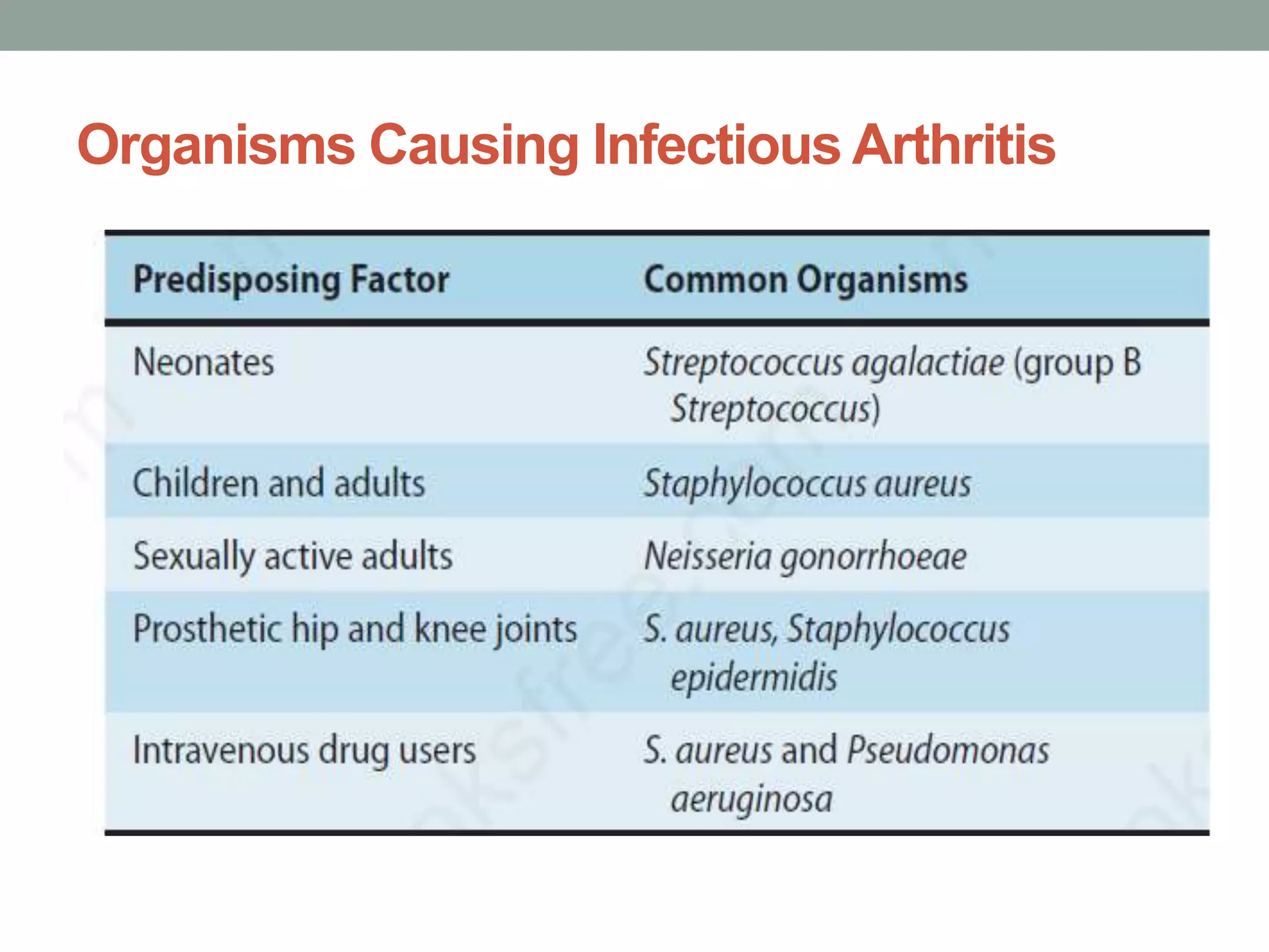 bone and joint infections.pptx | Bone and Joint Conditions | Diseases ...