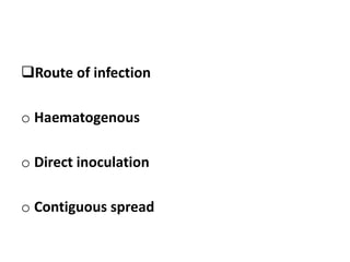 BONE AND JOINT INFECTIONS.pptx