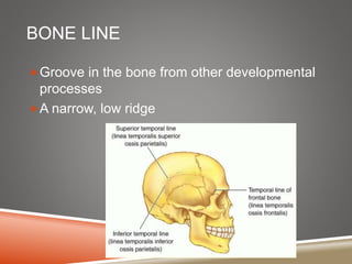Bone and muscle features | PPTX