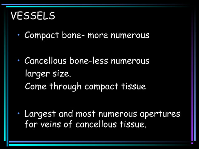 Bone architecture | PPT