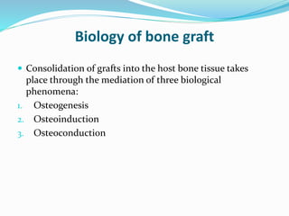 BONE BANK.pptx