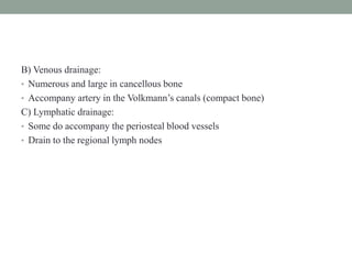 Bone (basic) | PPTX