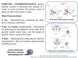 Bonebasicsnotes | PPT