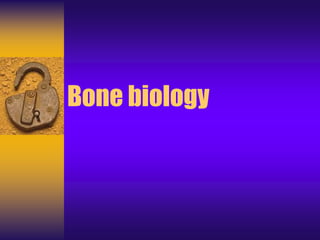 Bone Biology | PPT