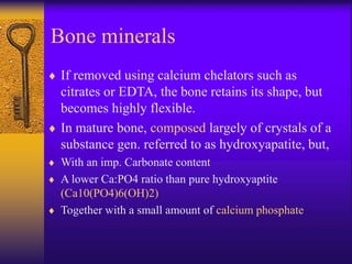 Bone Biology | PPT