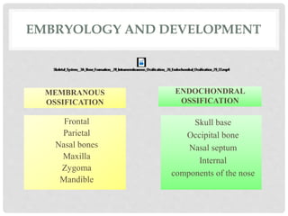 Bone biology and bone healing | PPTX
