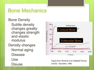 Bone biology, healing and biomechanics | PPTX