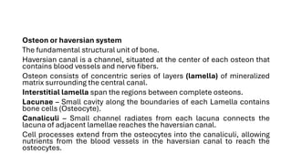 basic in Bone Biomechanics for physiotherapists.pdf