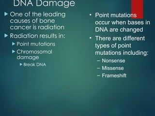 An Overview of Bone Cancer: From Early Symptoms to Advanced Treatment ...