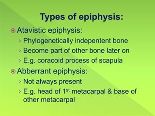Bone & Cartilage 2.pptx