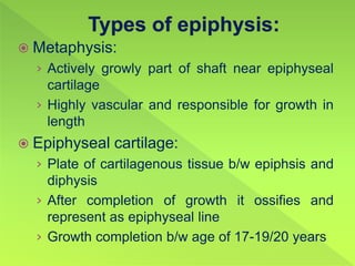 Bone & Cartilage 2.pptx