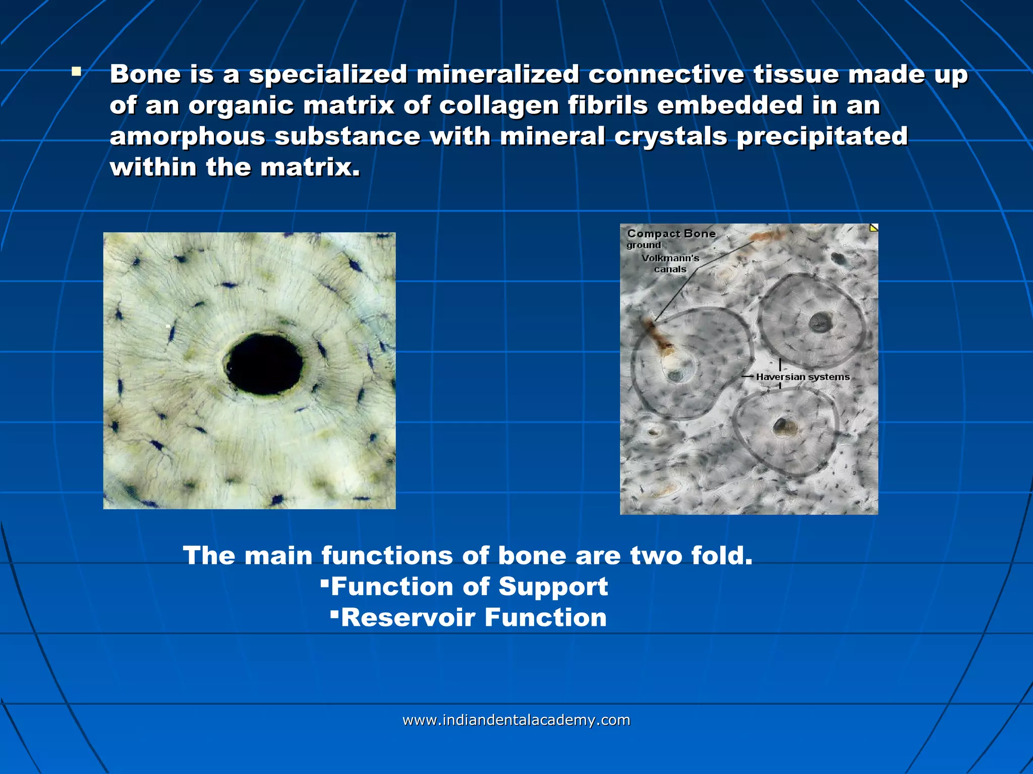 Bone changes during ortho. tooth movement dr.anusha /certified fixed ...