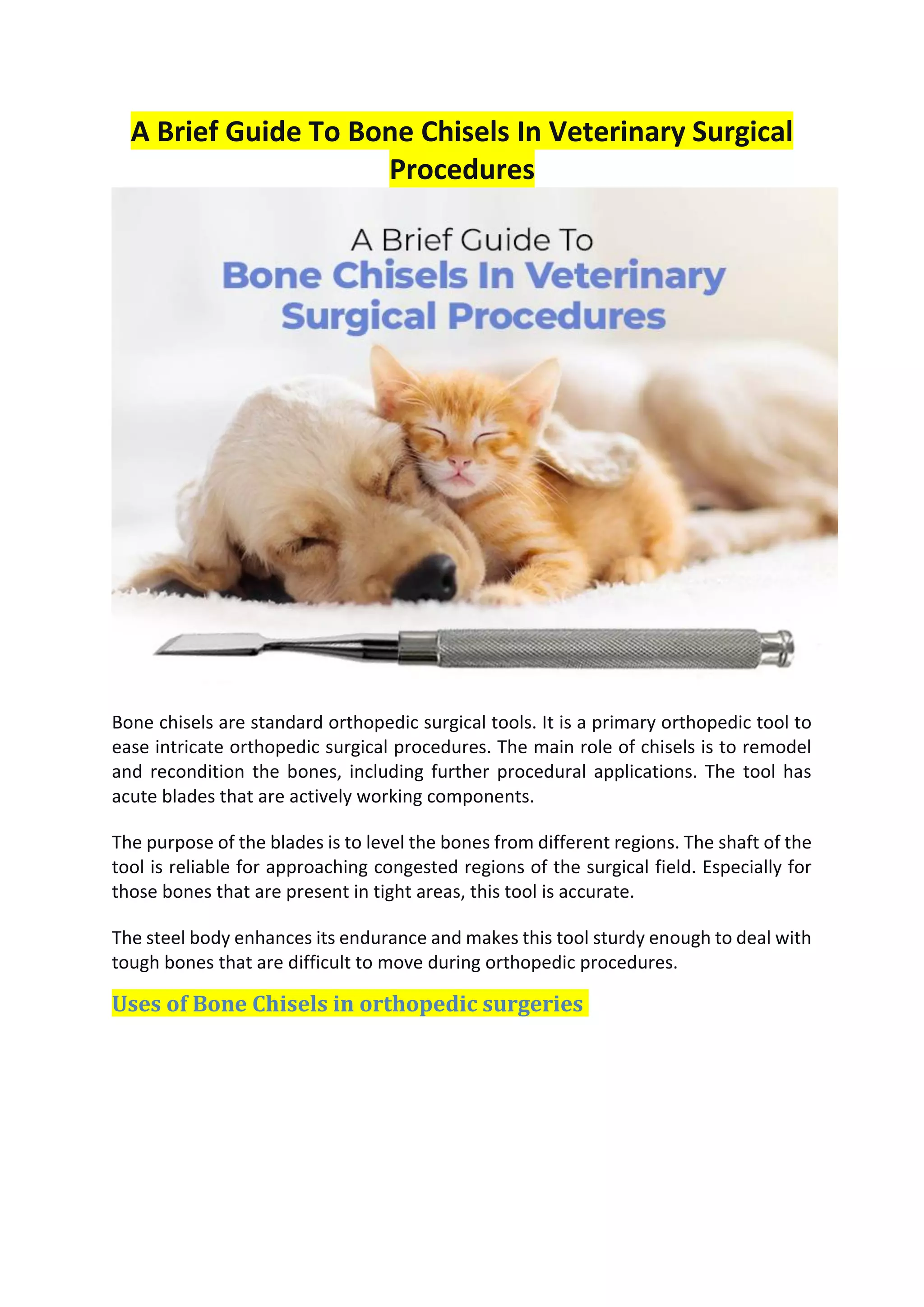 Bone Chisels.pdf