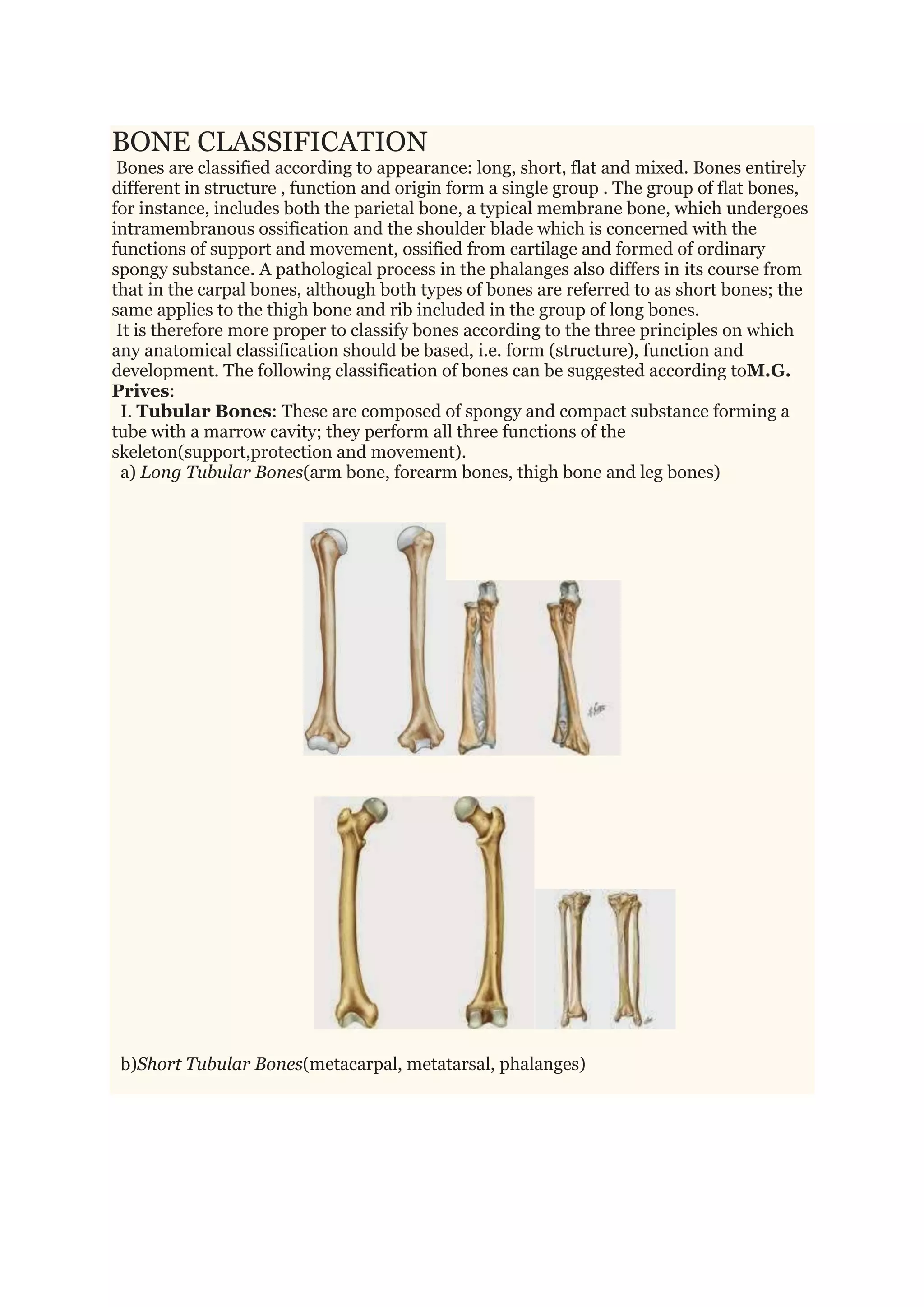 Bone classification | DOCX