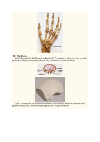 Bone classification | DOCX