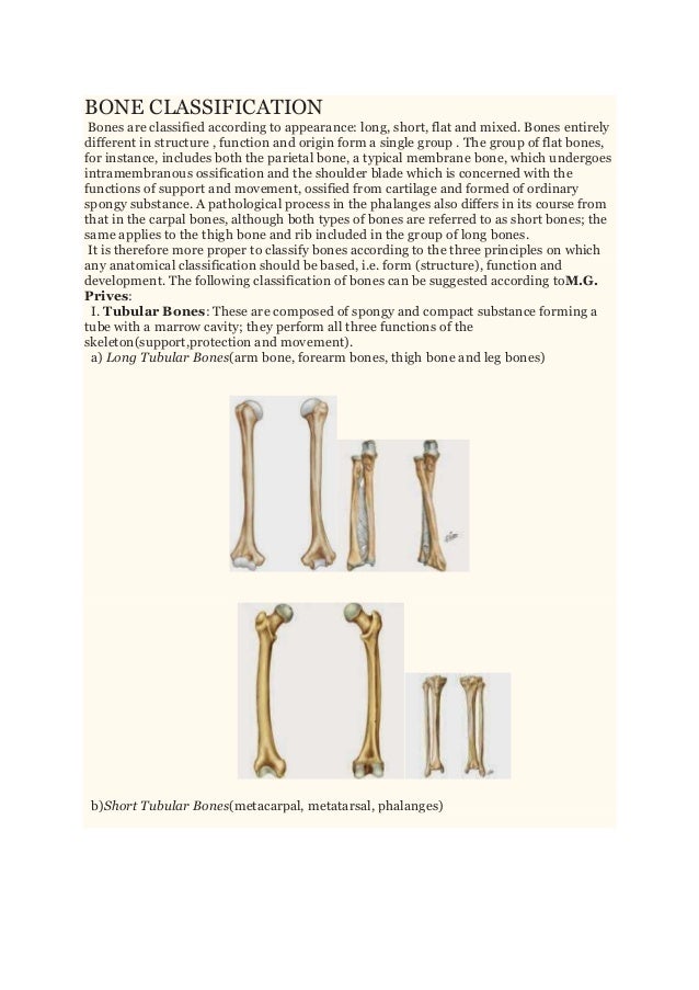 Bone classification Bone classification