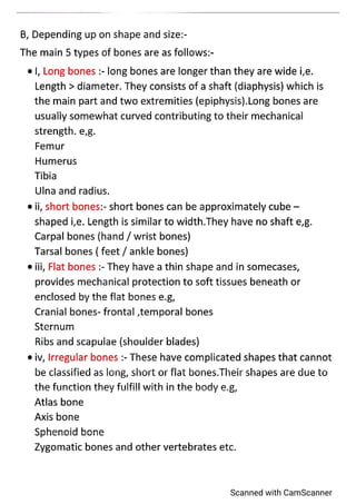 Bone classification | PDF | Bone and Joint Conditions | Diseases and Conditions