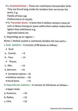 Bone classification | PDF | Bone and Joint Conditions | Diseases and Conditions