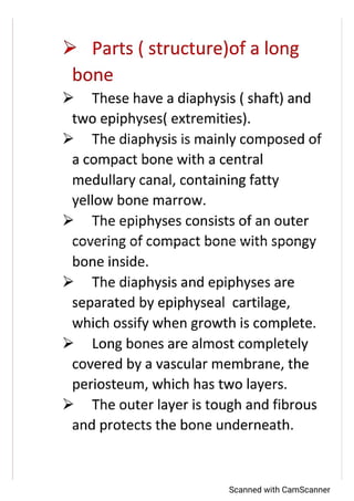 Bone classification | PDF | Bone and Joint Conditions | Diseases and ...