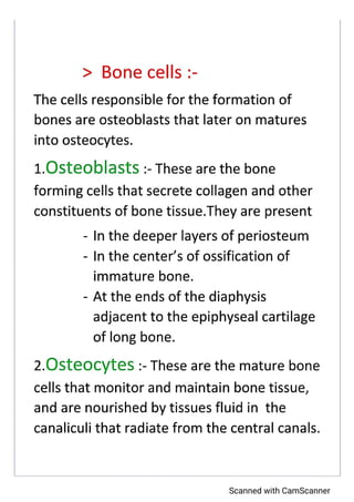 Bone classification | PDF | Bone and Joint Conditions | Diseases and Conditions