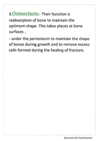 Bone classification | PDF | Bone and Joint Conditions | Diseases and ...