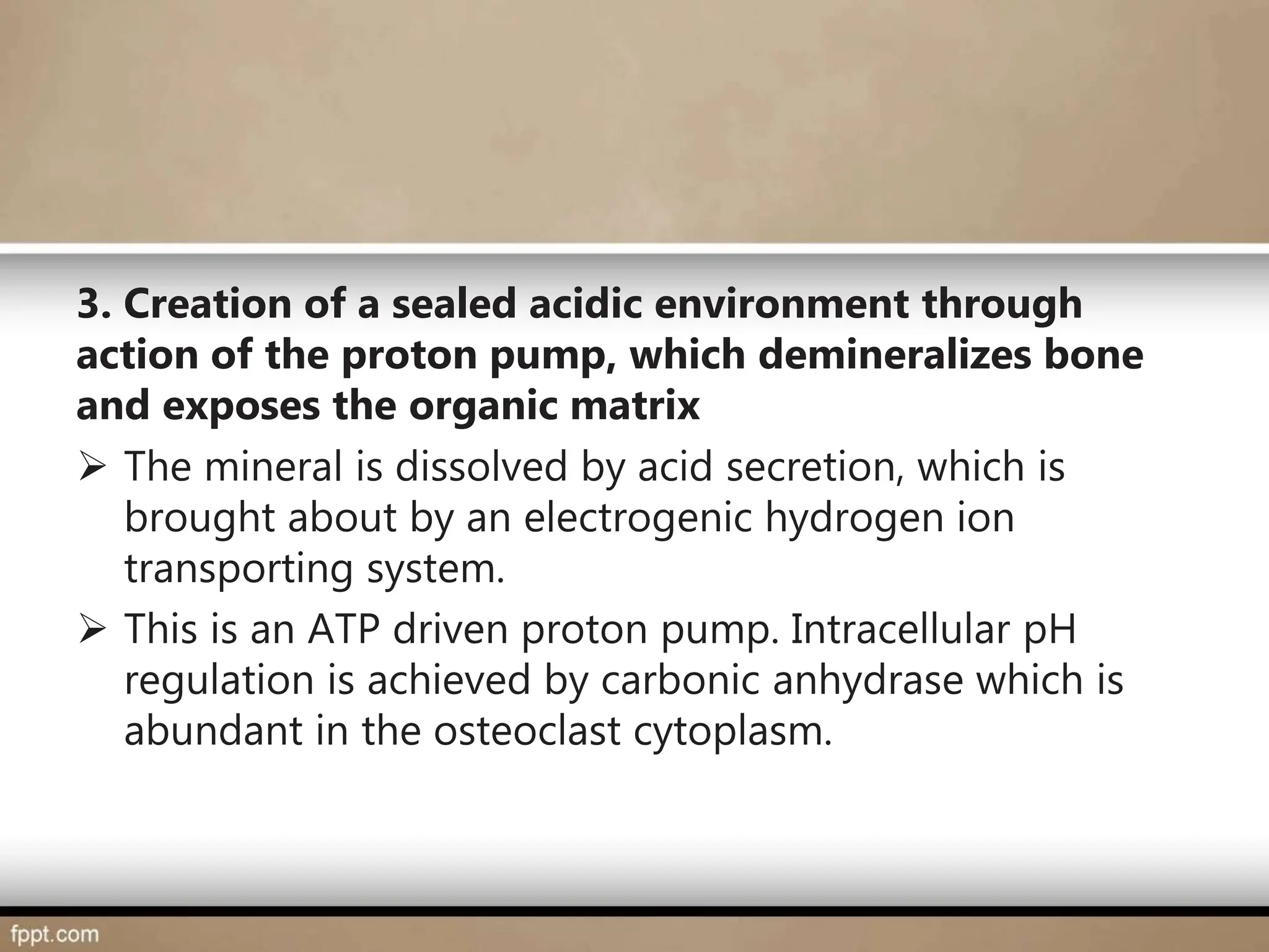 BONE DEFECTS lecture in periodontology. | PPTX