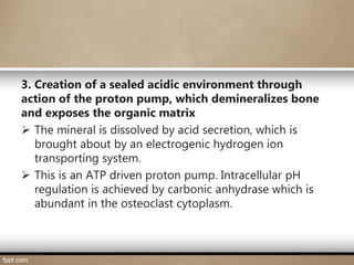 BONE DEFECTS lecture in periodontology. | PPTX