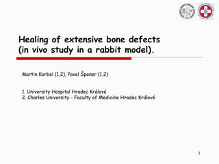 Healing of extensive bone defects (in vivo study in a rabbit model). | PPTX