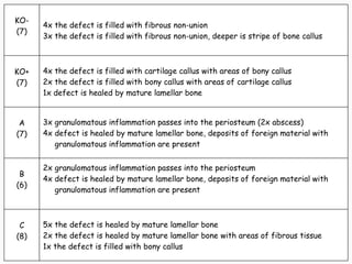 Healing of extensive bone defects (in vivo study in a rabbit model). | PPTX