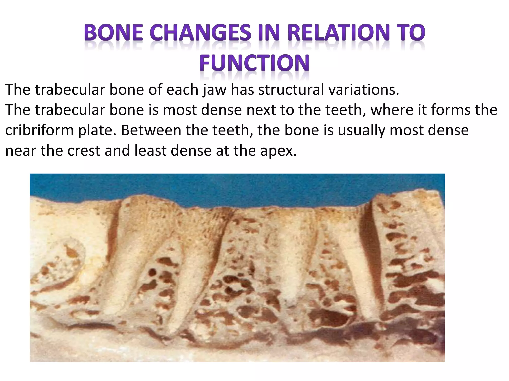 Bone density for dental implant. | PPTX