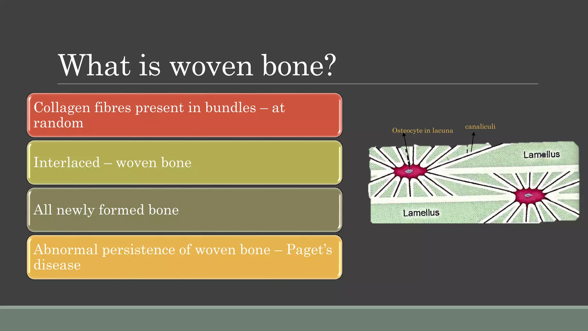Bone density ppt | PPTX