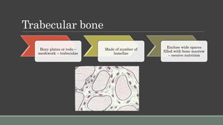 Bone density ppt | PPTX