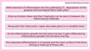 bone destruction IN PERIODONTAL RELATION | PPTX