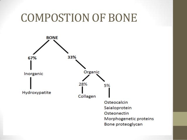 225 Bone Formation And Development
