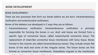 BONE DEVELOPMENT.pptx