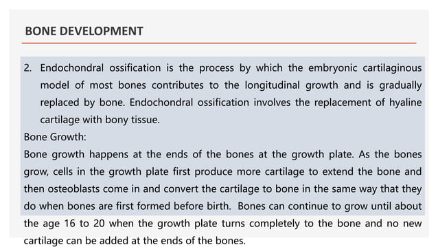 BONE DEVELOPMENT.pptx